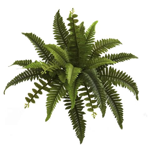 Artificial Fern Plants Fake Ferns Nearly Natural