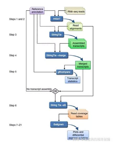 转录组分析（三）hisat2stringtieballgown 知乎