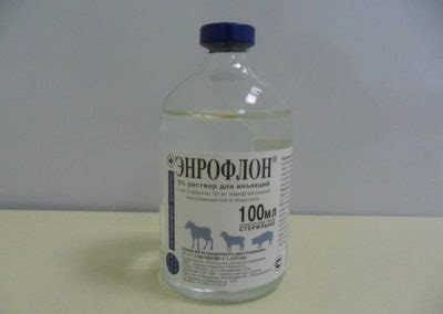 Энрофлон: инструкция по применению для взрослых птиц и цыплят бройлеров
