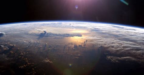 La Estación Biológica De Doñana Y El Csic Urgen A Diseñar Un Plan De Conservación De La