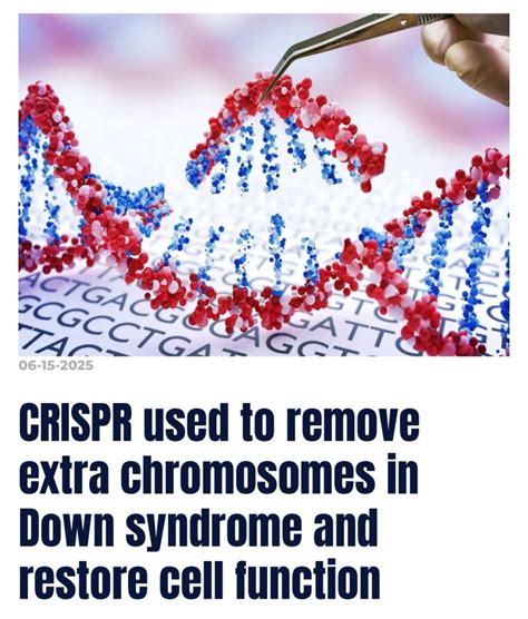 Japanese Scientists Have Successfully Used Crispr Technology To Remove