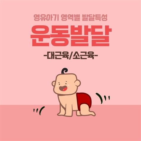 영유아기 영역별 발달특성 운동발달 대근육 소근육 네이버 블로그