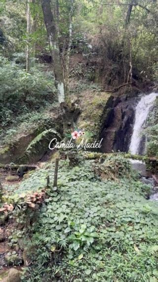 Sfx Com Charme O Poder Da Natureza ️ Instagram