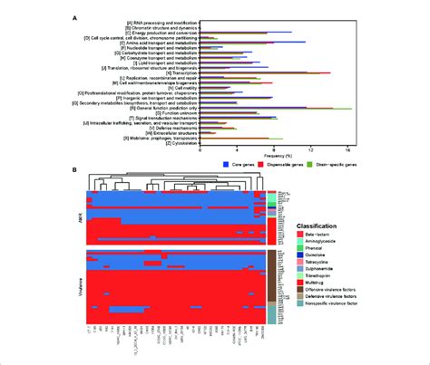 A The COG Function Classification Comparison Of Core Genes Download Scientific Diagram