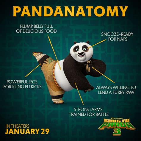 Kung Fu Panda Characters Names