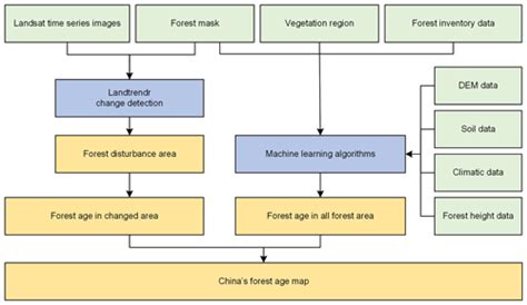 Essd A 2020 Forest Age Map For China With 30 M Resolution