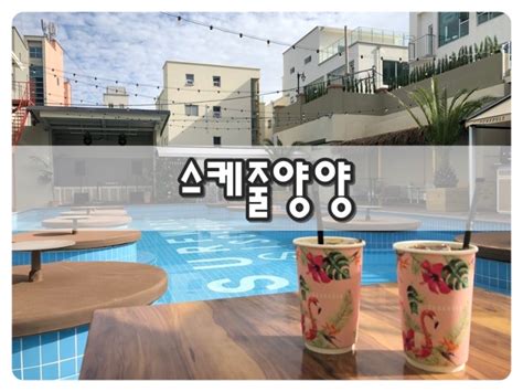 양양핫플 죽도 인구해변 스케줄양양 신상카페and펍 네이버 블로그