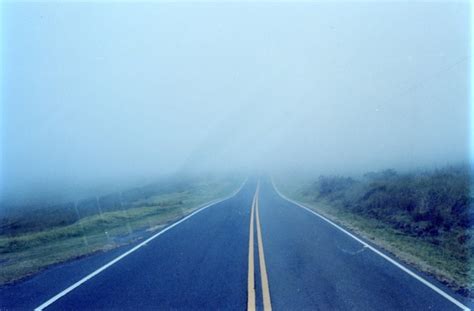Yuhan Cheng 窗子外 Outside The Window Inside The Tank 鱼缸里 Dazed