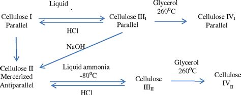 Table 1 From The Interconvertiblity Of Celluloses Allomorphs