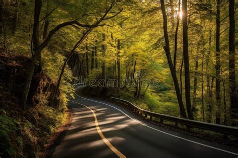 Scenic Highway Winding Through A Forest With Sunlight Filtering