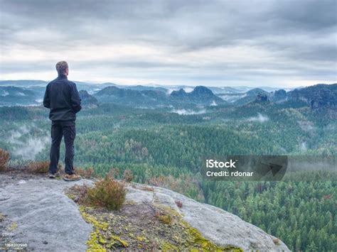 남자는 안개 낀 풍경을 보기 위해 멈춥니다 안개 낀 숲 위의 절벽 가장자리에 있는 순간 40 44세에 대한 스톡 사진 및 기타