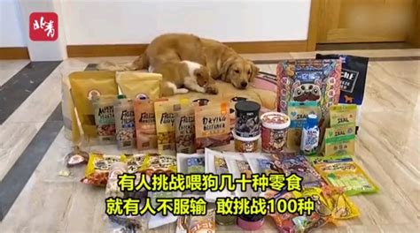 视频博主为了卖货虐待宠物狗，中国日报直呼下贱！ 哔哩哔哩