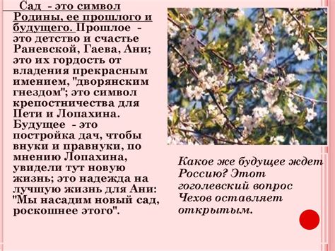 Вишневый сад - презентация онлайн