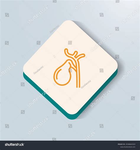 Gallbladder Health Recognizing Symptoms Preventing Complications Stock Vector Royalty Free