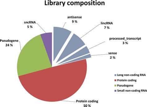 Implication Of Long Noncoding Rnas In The Endothelial Cell Response To Hypoxia Revealed By Rna