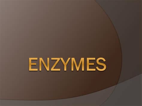 Ppt Enzymes Powerpoint Presentation Free Download Id2953453