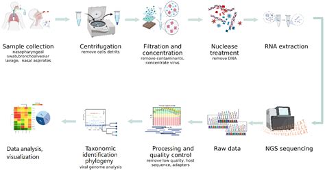 Next Generation Sequencing Approaches To Characterize The Respiratory Tract Virome