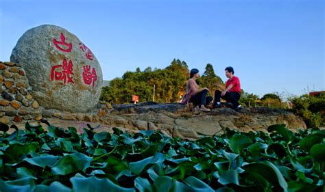 埔头村 泉州 东南网
