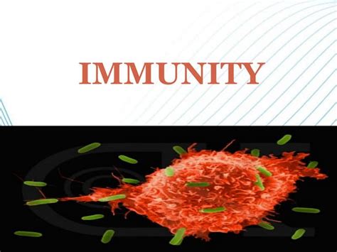 4 Immunitypptx Immun Anatomy Physiology Pptx 4 Immunitypptx Immun Anatomy Physiology Pptx
