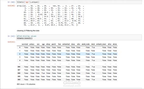 data analysis Using Python مستقل