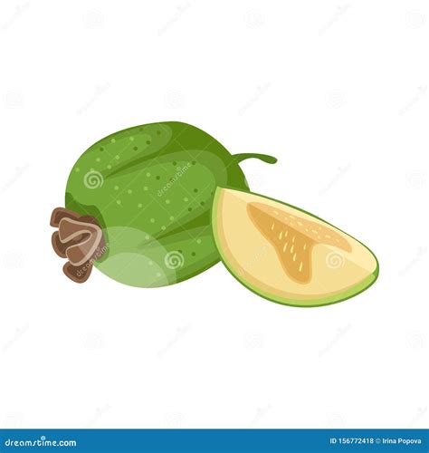 Ripe Feijoa Tropical Fruit Vegetarian Nutrition Organic Food