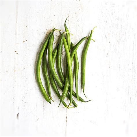 String Beans Drawing At Explore Collection Of