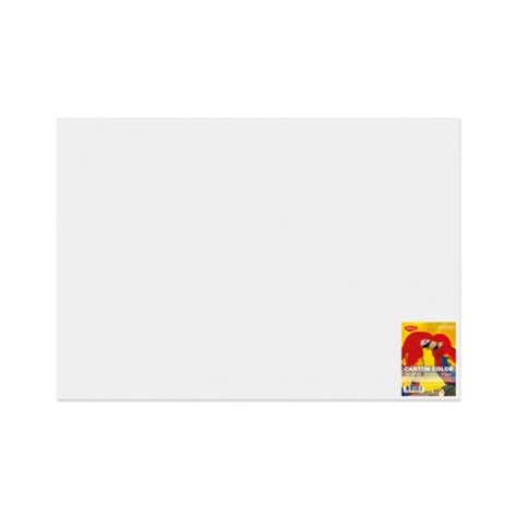 Carton Color Alb 270gmp 70x100 10 Coli Daco Emagro