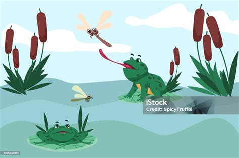 Ilustración De Posturas De Rana Sapos Verdes De Dibujos Animados