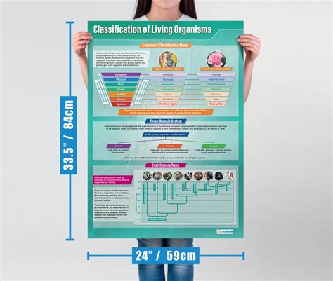 Classification Of Living Things Lesson Plans High School Living Things