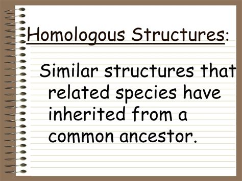 Evidence For Evolution Ppt Download