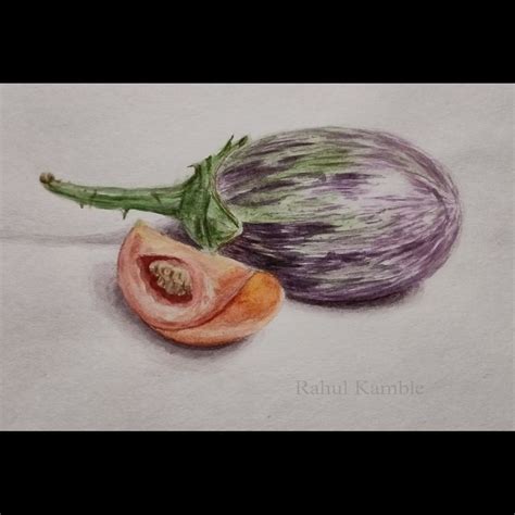 Neture Drawing Nature Drawing Object Drawing Drawings