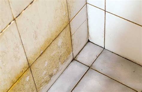 How To Clean Tile Grout
