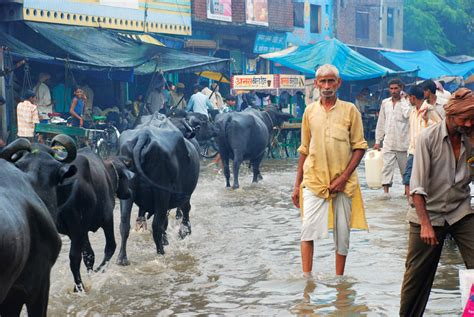 Gny Weakening Trends In The South Asian Monsoon