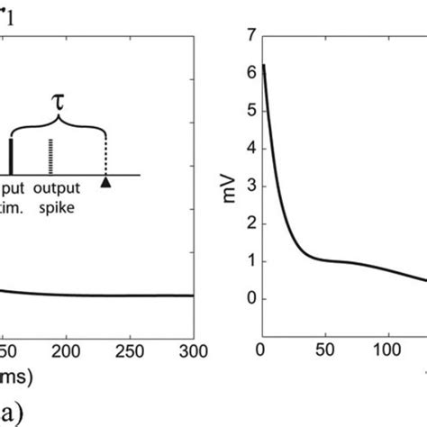 Response Functions Of A K 2 Model A Single Pulse Feedforward
