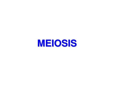 Ppt Meiosis Powerpoint Presentation Free Download Id260097