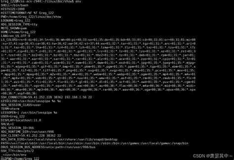 Linux：命令行参数、环境变量与本地变量linux命令行参数 Csdn博客