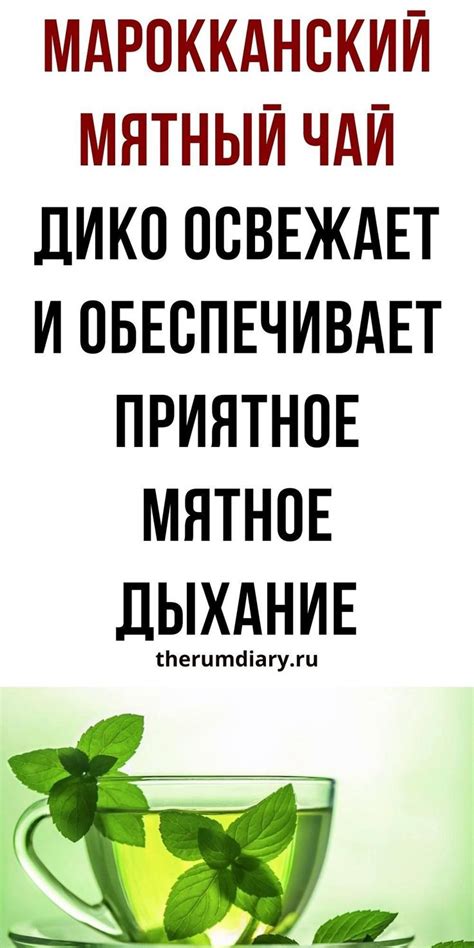 Марокканский мятный чай в домашних условиях. Простой рецепт | Ромовый ...