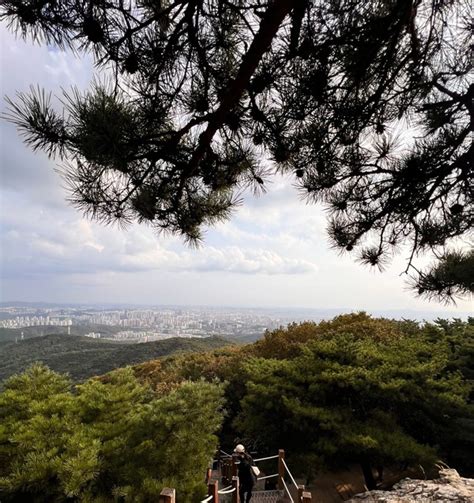 아이 둘 광교산 형제봉 등산 후기반딧불이 화장실 형제봉 네이버 블로그