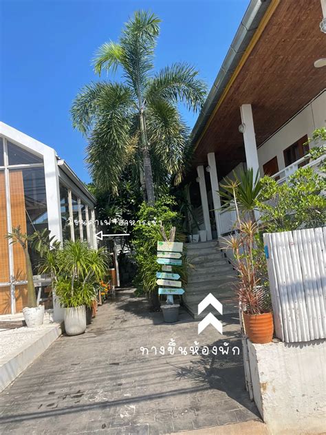 ที่พักเกาะล้านราคาถูกติดทะเล แกลเลอรีที่โพสต์โดย Filmolez Lemon8