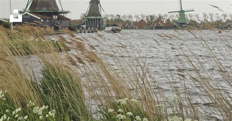 세 개의 풍차가 있는 집의 모습 사진 Unsplash의 무료 네덜란드 이미지