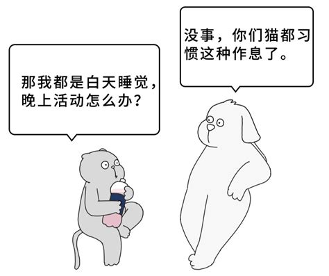 熬夜不睡抑郁烦躁？别在深夜吃饭｜每日罐头时间情绪白天