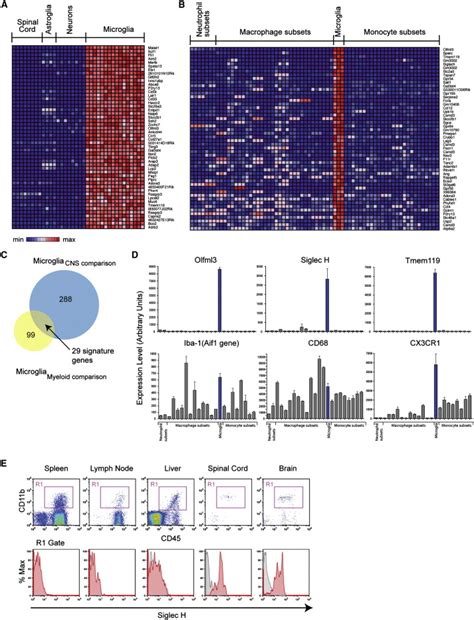 Microglia Marker Identification By Transcriptome Comparisons With Other