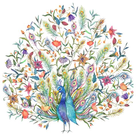 Peacock Svg Peacock Feather Svg Peacock Flowers Svg Peacock 