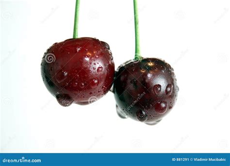 Two Cherries Stock Image Image Of Tasty Cherries Closeup 881291