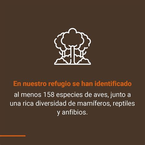 La Marta Refugio De Vida Silvestre Pejibaye La Marta Refugio De Vida Silvestre Pejibaye