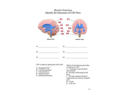 Csf Flow Structures Quiz