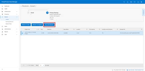 Recovery Simplifying Linux Bmr For Powerprotect Data Manager Using