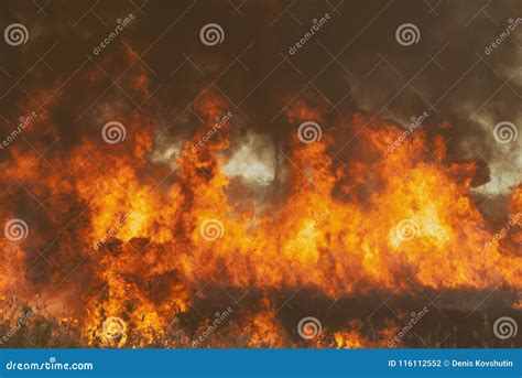 The Raging Flame Of Fire Burn In The Fields Forests And Black Thick