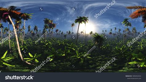 정글 Hdri 환경 맵 라운드 파노라마 스톡 일러스트 1899454333 Shutterstock