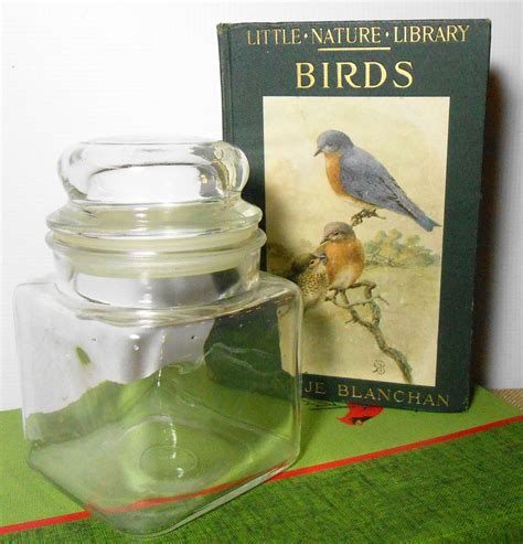 Vintage Glass Canister Clear Glass Apothecary Square Jar With Lid